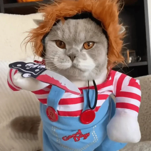 Chucky Cat Costume : Transform Your Pet into the Iconic Horror Doll ...