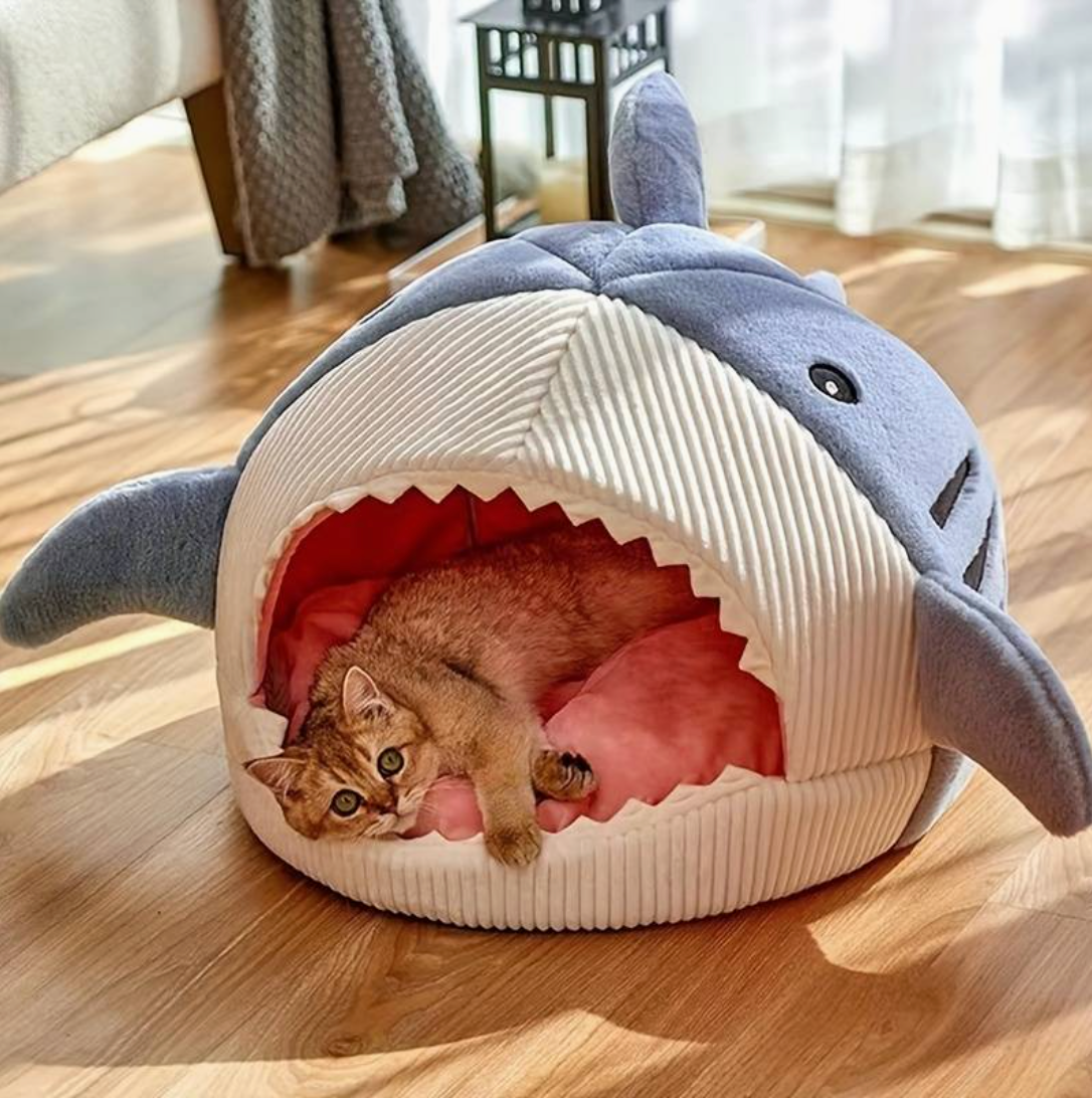 Shark Cat Bed | Cozy & Funny Shark Pet Bed for Cats & Small Pets ...