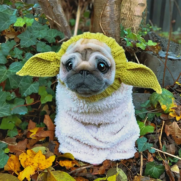 Yoda Dog Costume | Star Wars Pet Outfit | Jedi Cosplay Hat for Dogs ...