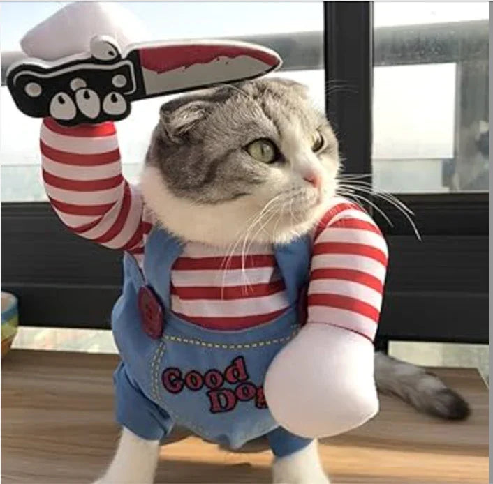 Chucky Cat Costume – Scary Halloween Outfit for Cats 🎃👻 – HappinessPaws