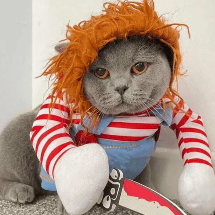 Cat Costumes | Funny & Cute Outfits for Cats, Kittens & Cosplay Events ...